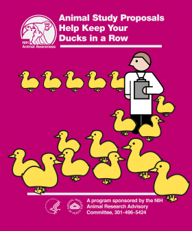 Toys Rows and Columns Poster Visual Rows as 'Ducks In A Row' Toys ...